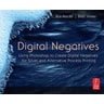 Digital Negatives- Using Photoshop to Create Digital Negatives for ...