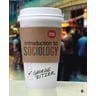 Introduction to Sociology - George Ritzer | Public βιβλία