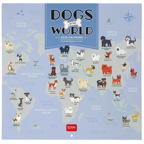 Ημερολόγιο Τοίχου Legami 2025 Dogs 30x29 cm | Public