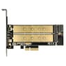 Controller Delock Pcie-card X4 To M2 Keyb + Nvme M.2 Keym Lowprofile ...