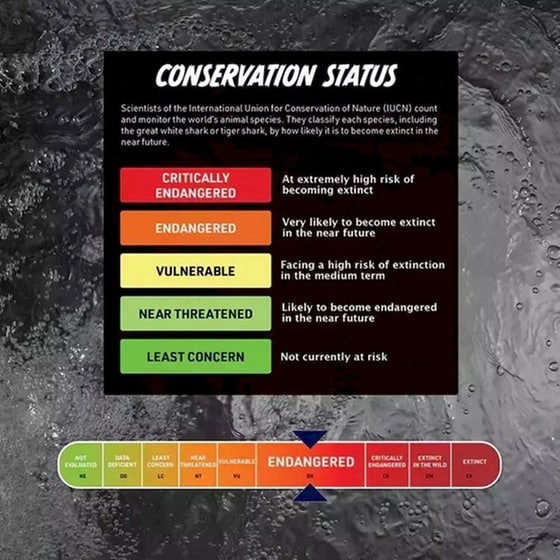 Shark Lab Vr Επιστημονικό Σετ Εικονικής Πραγματικότητας (Abacus Brands ...